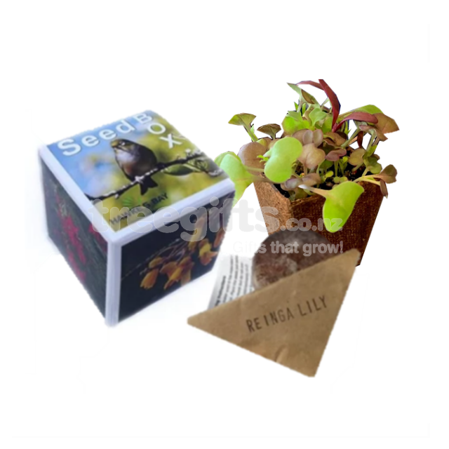 Branded Business Seed Gifts | Tree Gifts - NZ's Award Winning Co.– Tree ...